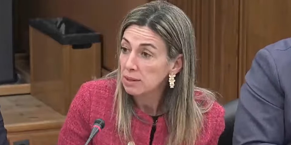 Deputada do Chega eleita por Beja acusada de agredir ex-esposa do seu ...